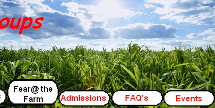 Something From the Farm : Group Visits